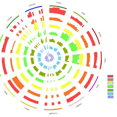The Schematization For A Part Of Copy Number Variation Genes Download Scientific Diagram
