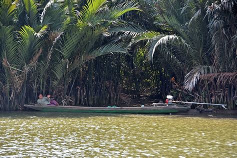 ความแตกต่างระหว่างเขื่อนธรรมชาติแ บางปะกง สายน้ำแห่งชีวิต