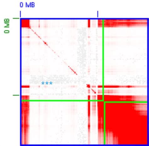 Strange Assembled Contig Using Hifiulhic · Issue 452 · Chhylp123hifiasm · Github