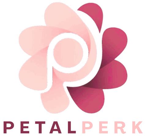 One By One Steps To Make Pipe Cleaner Flowers