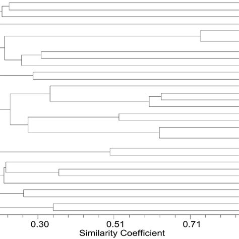 Dendrogram Of The Genomic Relationship Among 31 Species Using Rapd And