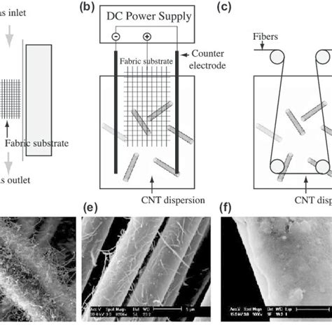 A] View Of The Cvd Process [b] View Of The Electrophoresis Process Download Scientific