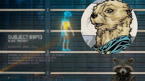 15 Facts About Lylla Rocket Raccoons Friend Who Appears In Guardians Of The Galaxy Vol 3