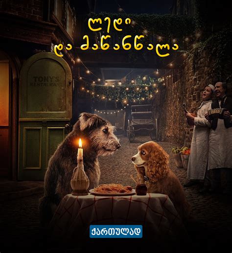 Great Sounds 📍 ლედი და მაწანწალა 😱🔥 🔵🔴 ფილმის ლინკი Facebook