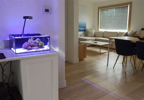 Pico Reef Tank Reef Casa