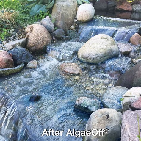 Crystalclear Algaeoff String Algae Remover The Pond Guy