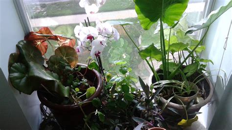 Laura Whelan Massage Therapy Just Finished Up A Thai Stem Massage