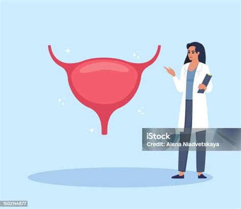 의사가 해부학에 대한 교육 강의를 합니다 인간 방광 인포그래픽을 제시하는 의사 의료 세미나 강의 의료 회의 개념 벡터 그림입니다 건강관리와 의술에 대한 스톡 벡터 아트 및