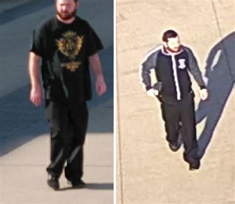 Police Arrest Suspect In Attack On Former Sen Martha Mcsally