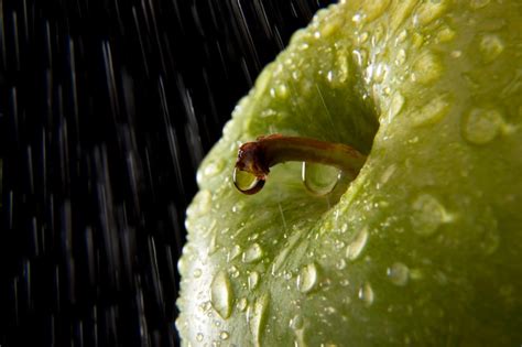 Premium Photo Fresh Apple