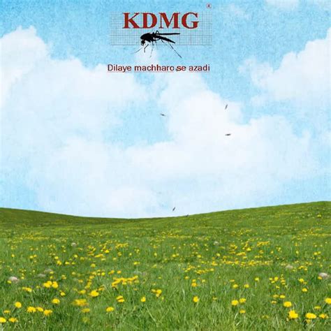 Ca Rajeev Kabra On Linkedin Insect Killer Machine