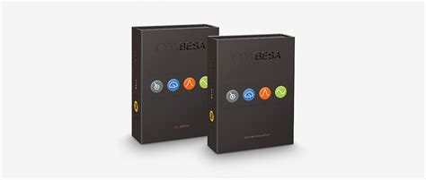 Besa® Brain Electrical Source Analysis Home