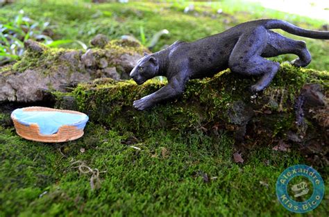 Bagheera Finds Mowgli By X Alex On Deviantart