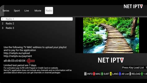 Net Iptv Guide De Configuration Et Dactivation Wishiptv