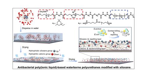 Synthesis And Application Of Antibacterial Poly Ionic Liquid Based Waterborne Polyurethanes