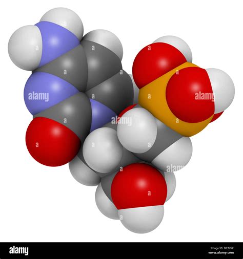 Cidofovir Cytomegalovirus Cmv Hcmv Drug Chemical Structure Can Probably Also Be Used