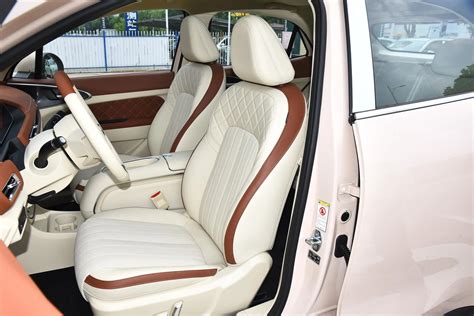 Gwm Ora Funky Cat Guangcaiauto