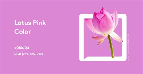 lotus pink color hex code is db87d4 hex color codes color palette