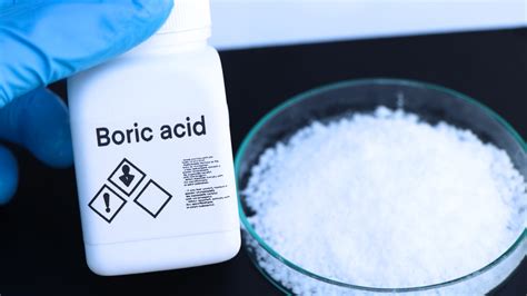 Is Boric Acid Really An Effective Stink Bug Repellent