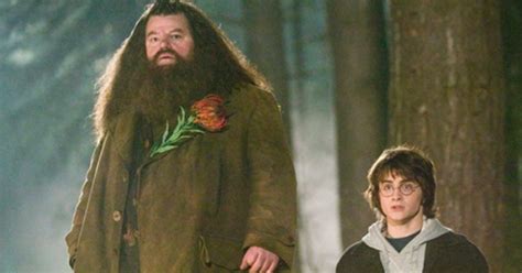 해리 포터 숲지기 연기한 콜트레인 별세 롤링 등 추모