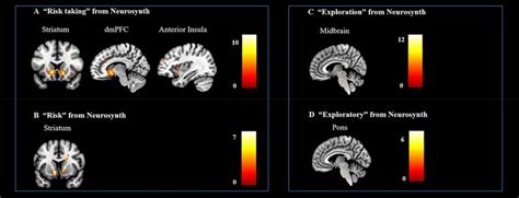 Meta Analytic Results Obtained From The Neurosynth Database At