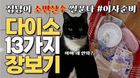Eng 다이소 13가지 장보기 Feat 이불에 오줌 싼 고양이 썰 푼다 Youtube