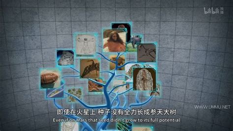 国家地理科学透视 Naked Science 第五季全 集 英语中英双字 P MP G 探究各种迷人的自然现象 纪录天堂