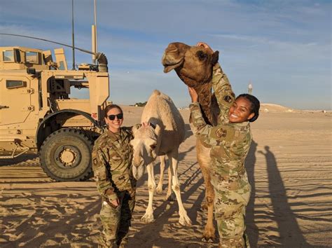 Ashley Seiler Seitz On Linkedin Usaf Military 20 Comments