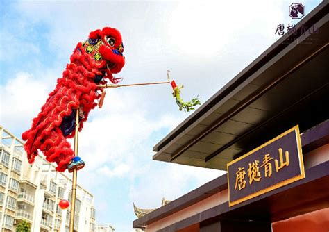 高空舞狮采青的 搜索结果 360图片