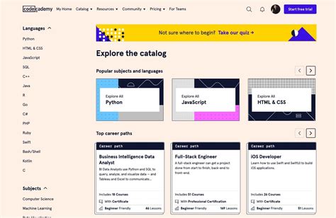 Discover Great Online Platforms To Learn Programming From The Basics