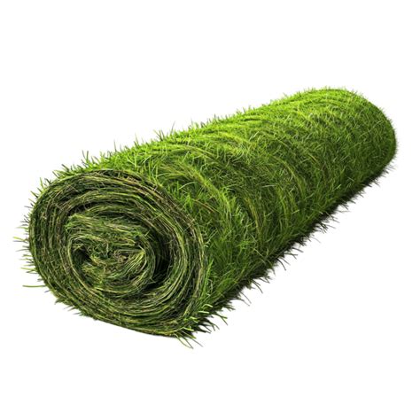 Large Tightly Coiled Bundle Of Green Grass 49732437 Png