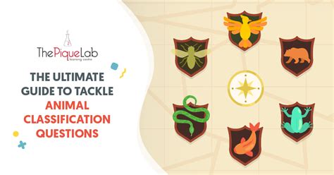 The Ultimate Guide To Tackle Animal Classification Questions Primary