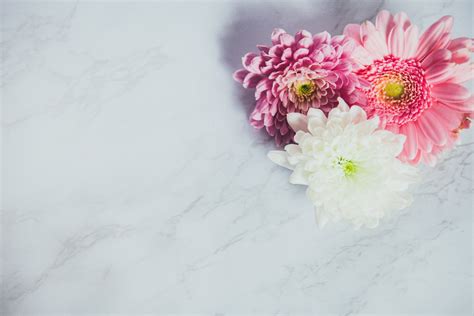 Blog Photography Tips For Beginners ⋆ Clicks And Confetti Photography