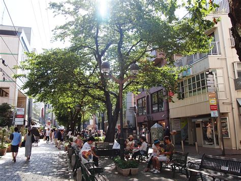 Tokyo Neighborhood Summer Breeze At Jiyugaoka Life To Reset