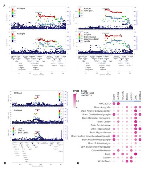 Shared Genetic Susceptibility Between Rheumatoid Arthritis And Bipolar