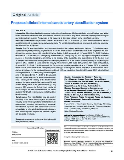 Pdf Proposed Clinical Internal Carotid Artery Classification System