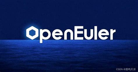 欧联网openeuler华为欧拉系统安装教程及联网配置