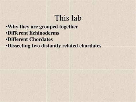 Ppt Echinoderms And Chordates Powerpoint Presentation Free Download Id 9325246