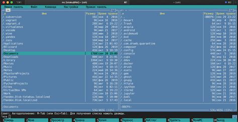 Проблемы Mc на Macos Sierra Пермяк на Неве