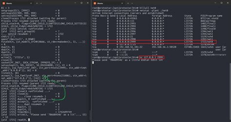 Protostar Net Dat Hwang