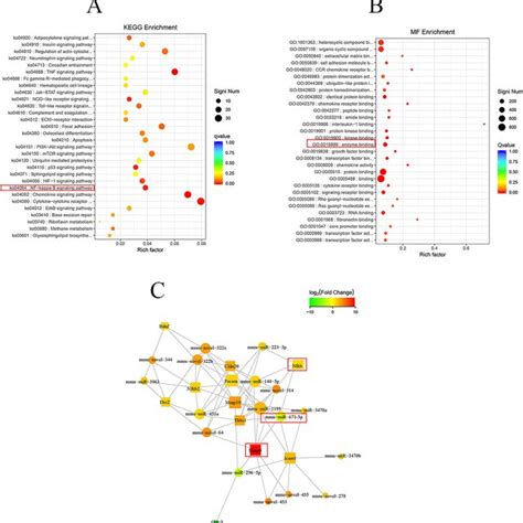 Some Related Results Of Bioinformatics Analysis A Analysis Of