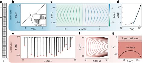 Device Transport And Microwave Measurement Techniques A Scanning