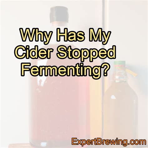 How To Make Hard Apple Cider At Home Beginners Guide