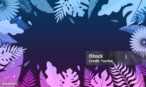 안녕하세요 여름 컨셉 디자인 여름 파노라마 정글 이국적인 나뭇잎 화려한 디자인 여름 배경 및 배너가 있는 추상 그림 프레임 템플릿을 남깁니다 열대 여름 장식 프레임입니다 0