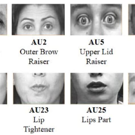 Sample Of Facial Landmarks From Jaffe Dataset Download Scientific