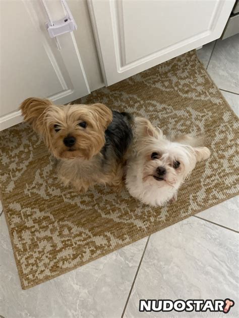 Charly Summer Kittytinypaws Onlyfans Leaks 31 Photos Nudostar