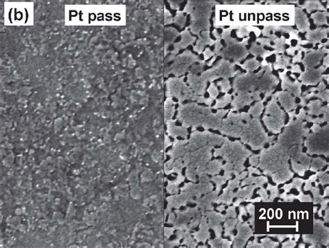 5 Tilted Sem Micrograph A And Sem Top View B Taken On A