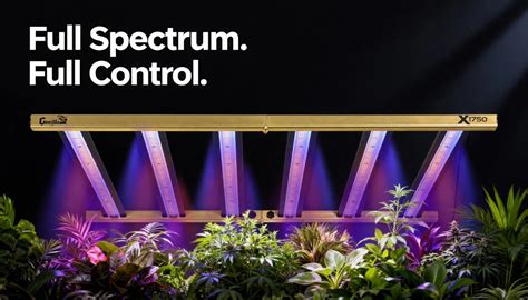 Full Spectrum Led Grow Light Complete 2025 Guide For Indoor Growers