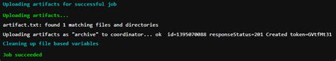 Artifacts Are Not Uploaded Gitlab Cicd Gitlab Forum