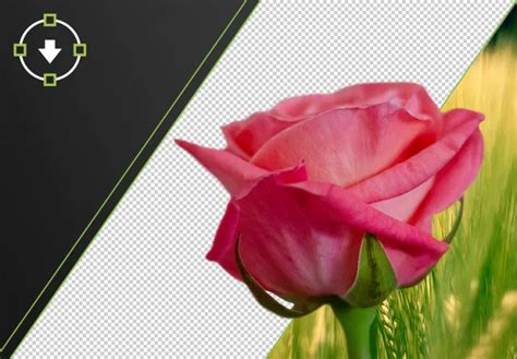 Apply Assets Help Article